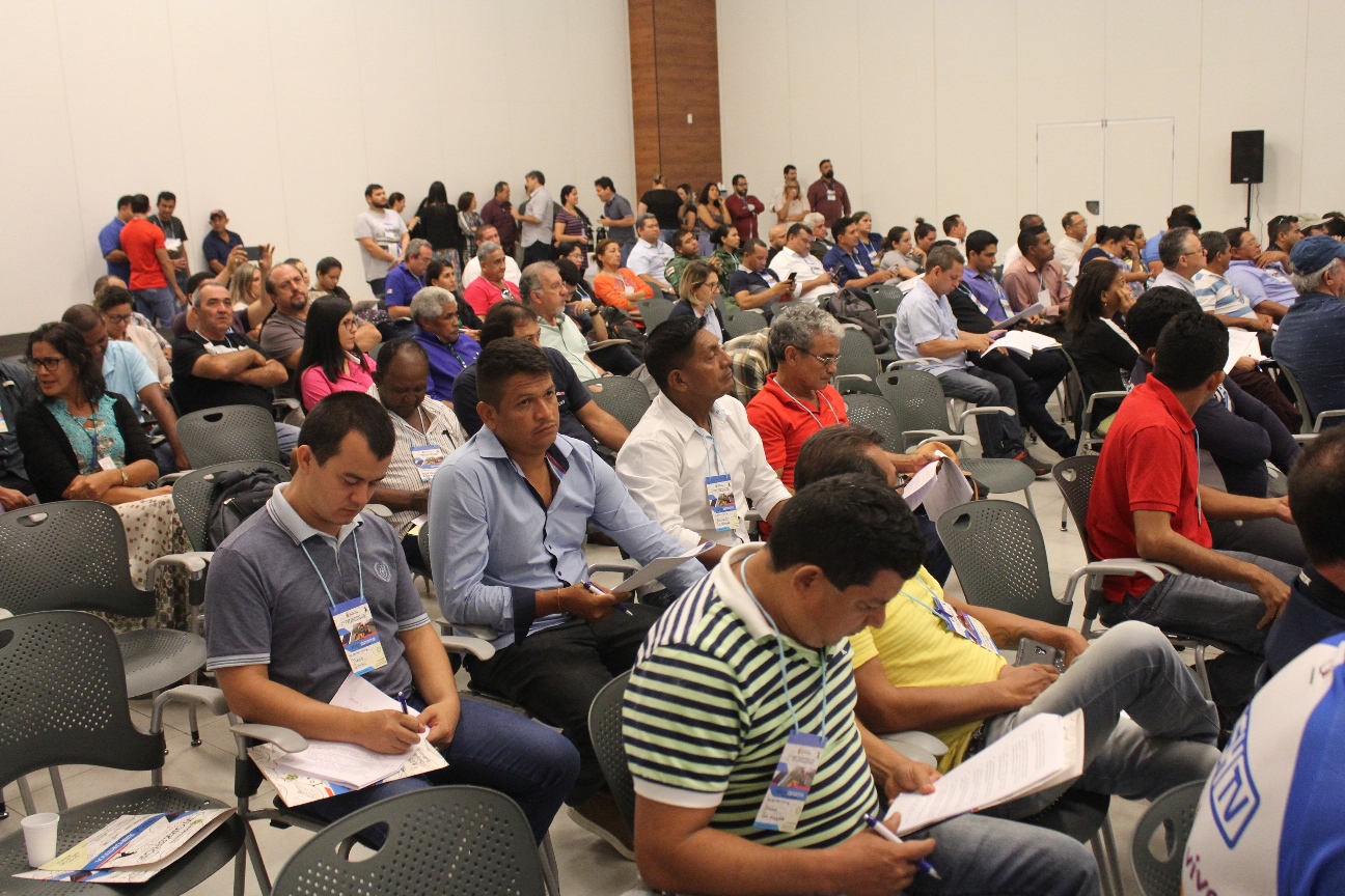 foto 2 - IPAAM - IPAAM